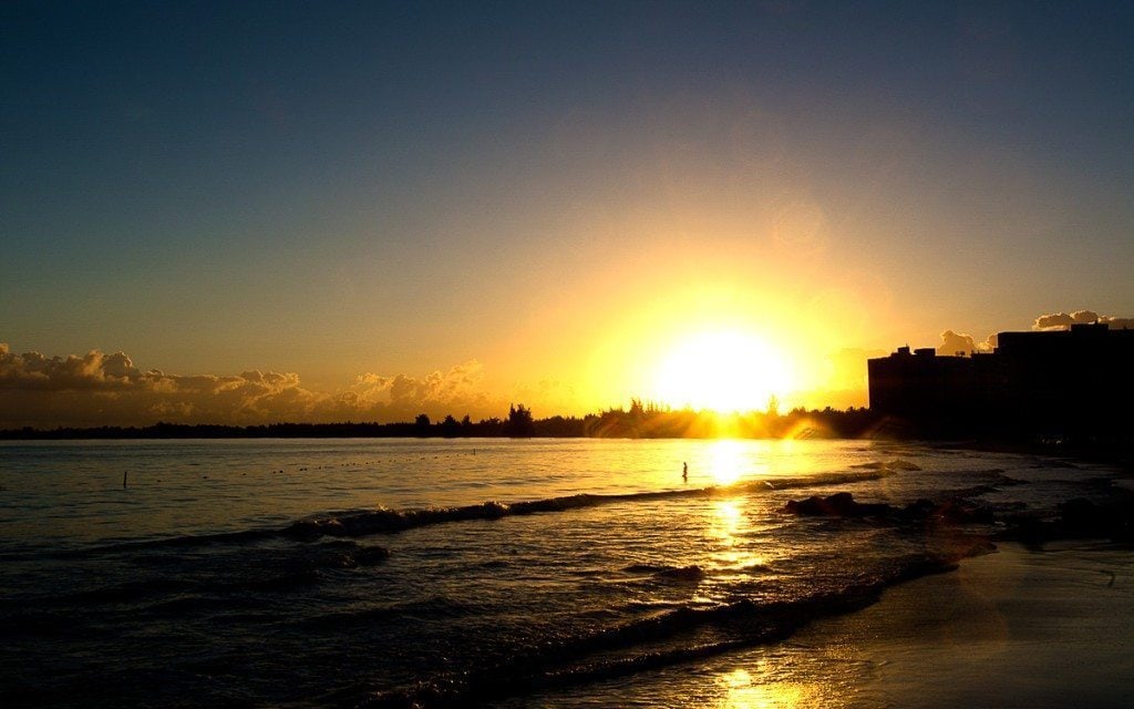 Early Morning Sun Bathing - Creative Strategy, Activism & Storytelling ...